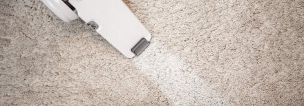 5 Best Spot Cleaners - Mar. 2025 - BestReviews