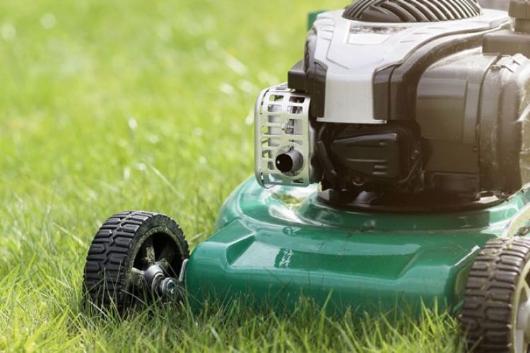 Lawn & Garden Product Reviews - Bestreviews
