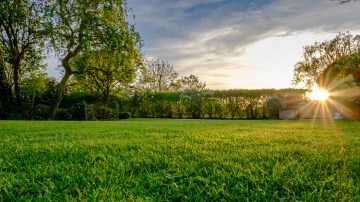 Mosquito repellents that actually work